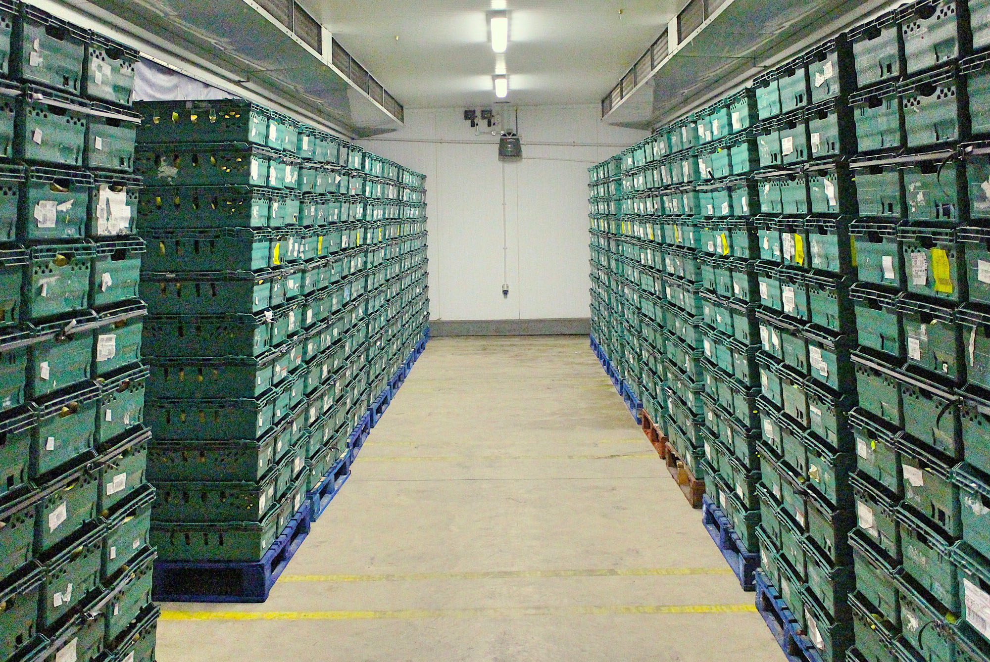 Fruit Packing Company | Fresh Produce | Contact Us