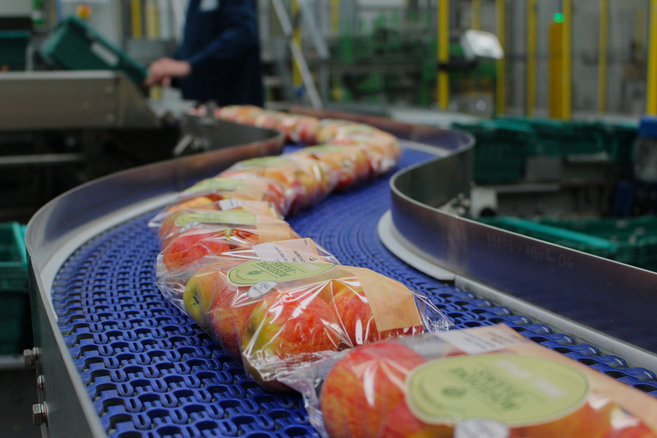 Cottage Farms | Why Choose Us For Fruit Packing And Ripening